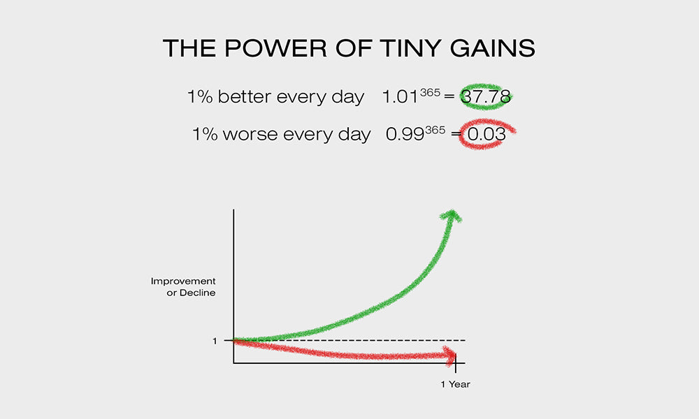 The Power of Tiny Gains | I Love Ugly